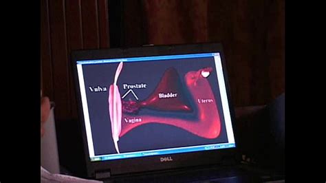 How To Make A Female Orgasm Video Porn Videos Letmejerk