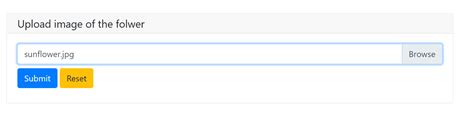 Github Nakul Flower Classification Using Cnn