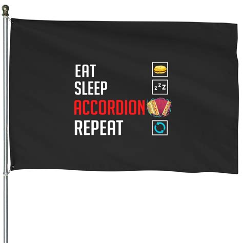 Accordion Music Instrument Player Beginner Lesson House Flags Sold