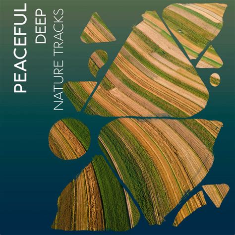 Zzz Peaceful Deep Nature Tracks Zzz Album By Mother Nature Sound Fx
