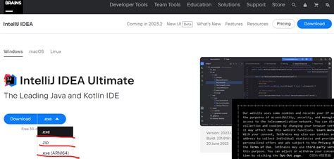 【idea完整版下载安装激活解析】 Csdn博客
