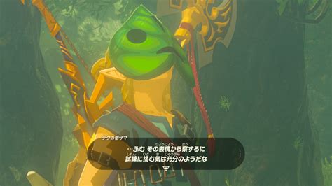 ゼルダの伝説 Bow Dlc1「試練の覇者」 Bs Mono Log