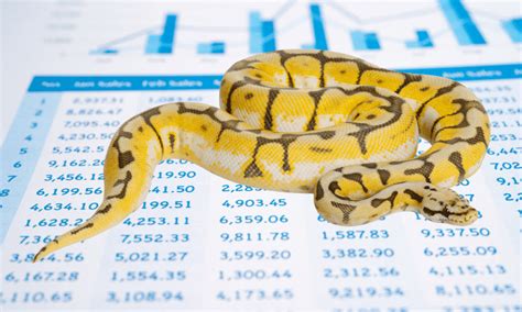 Python prišiel do Excelu