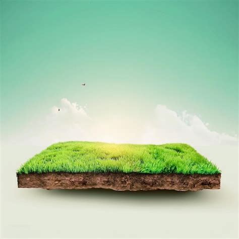 Green Grass Field Isolated On White With Clipping Path Sports Field