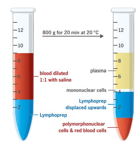 Axis Shield Density Gradient Medica