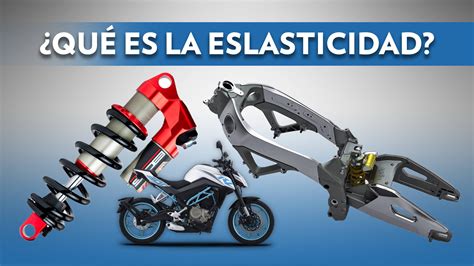 Fisica Ii Secuencia 1 Elasticidad De Los Cuerpos