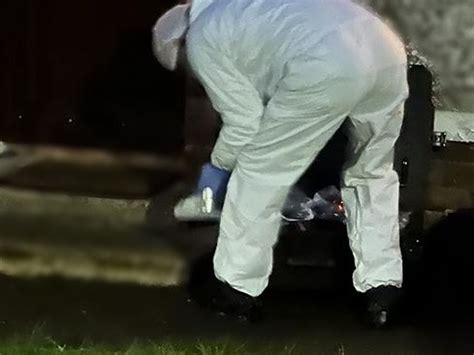 Natalie Mcnally Police Search Home Linked To Man Arrested In Lurgan