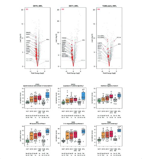 Differentially Expressed Interferon Stimulated Genes Upper Panel Download Scientific