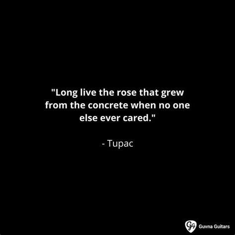 Long Live The Rose That Grew From The Concrete When No One Else Ever