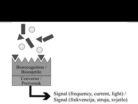 Nanosensors Pptx