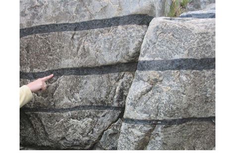Chromite Dark Layers Hosted By Anorthosite Dwars River Bushveld