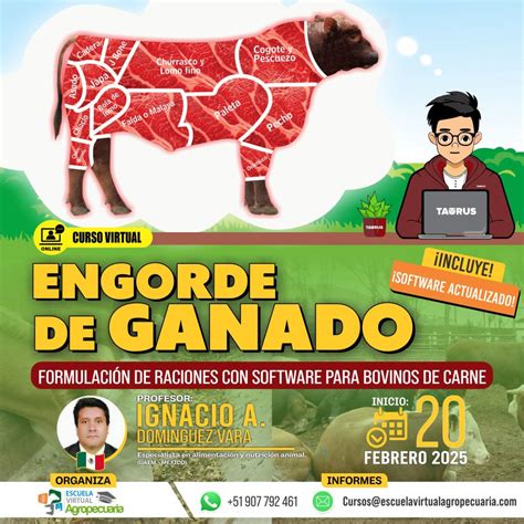 Curso Virtual Engorde De Ganado 2025 Software Especializado Para