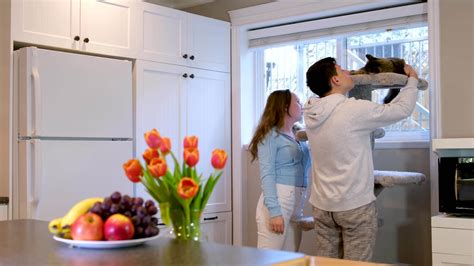 Adolescents Caressant Chatons Sur Une Chat Arbre Dans Cuisine Paisible