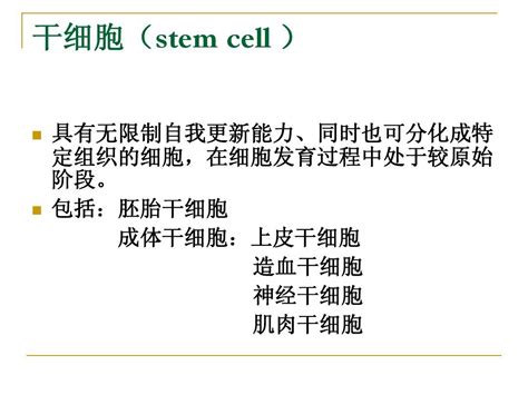 诱导性多能干细胞ipsword文档在线阅读与下载无忧文档