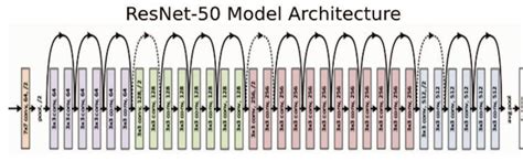 Resnet50 Architecture Convolution Neural Networks Show