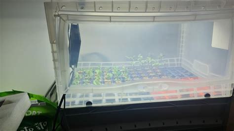 Root Development Rig Prototype Give Me Sugestions For Improvement R Hydroponics