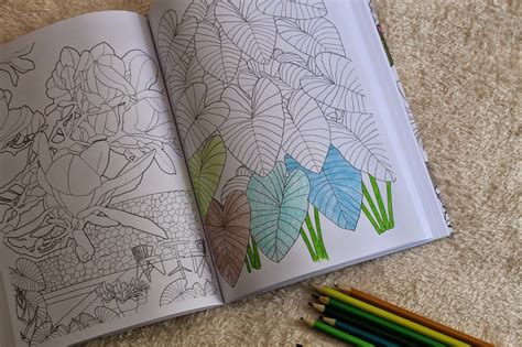 Estante Da Nine Jardim Encantado Livro De Colorir Antiestresse De Sophie Leblanc