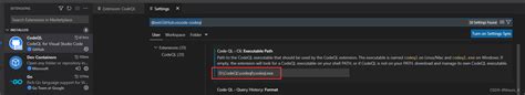 codeql笔记之入门简介及其注意点 csdn博客