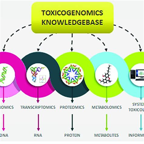 Pdf A Brief Overview To Systems Biology In Toxicology The Journey