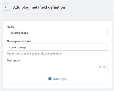 custom data metafields and access controls in programming