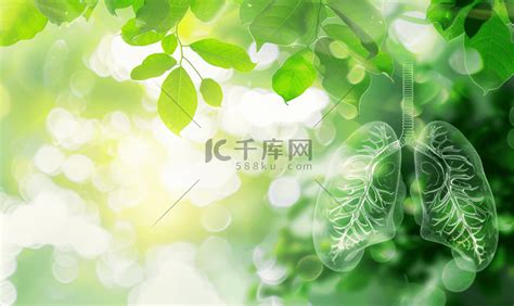 绿色环保呼吸内科高清摄影大图 千库网