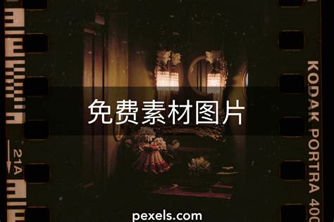 200张最精彩的 400 아주머니와 총각과 할머니”图片 · 100免费下载 · Pexels素材图片