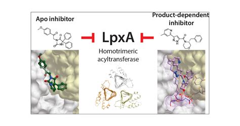 Two Distinct Mechanisms Of Inhibition Of LpxA Acyltransferase Essential