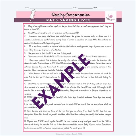 English First Additional Language Fal Grade 9 Summary Exercise