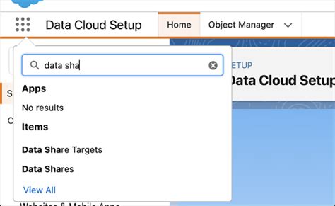 Harness Zero Copy Data Sharing From Salesforce Data Cloud To Amazon