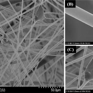 FESEM Image Of FA PS NFs Membrane A FA Particle Embedded Inside The Download Scientific