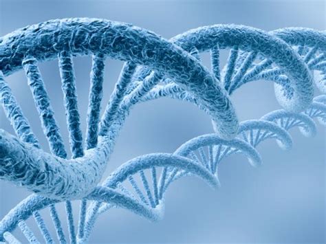 Scientists Finally Present Evidence On Expanding Dna Strands Living