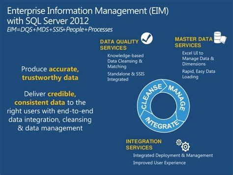Microsoft Sql Server Master Data Services Designmind