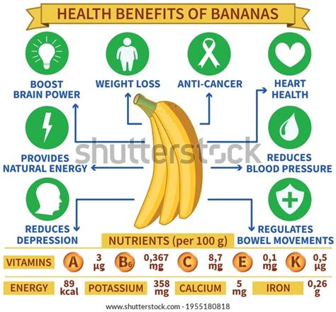 Health Benefits Lemon Infographic Vector Illustration เวกเตอร์สต็อก