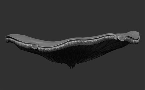 Mushroom Shelf 3d Model Cgtrader