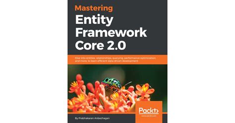 Mastering Entity Framework Core Book