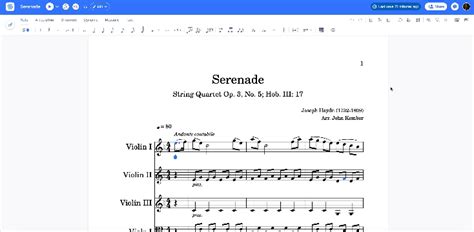 Hide Instruments Where They Are Not Playing Flat