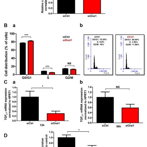 Orai1 Modulates Human Activated Psc Proliferation And Tgfβ1 Secretion