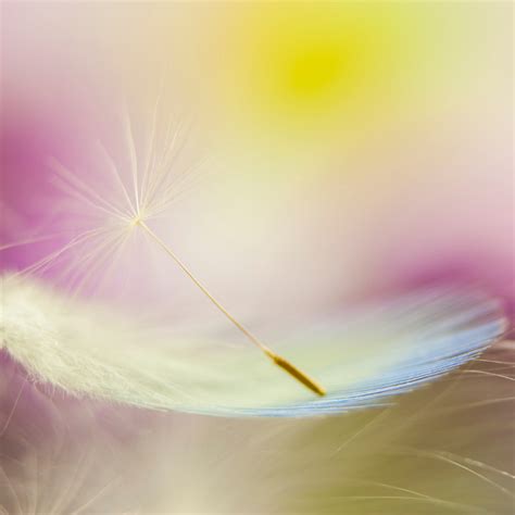 As I Lay Me Down To Sleep Meditation Womens Meditation Network