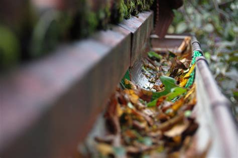 6 Ideas For Diy Gutter Guards In A Pinch