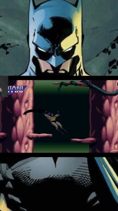 Batman Y Robin Videogames Retrogaming Batman Shorts Dcuniverse