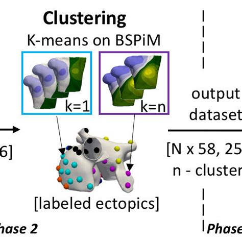 Pipeline For Classification Of Single Ectopic Beats From Optimal