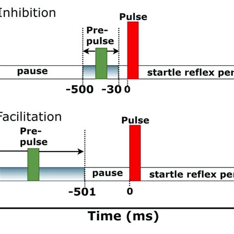 Trial Structure Of A Prepulse Inhibition Ppi And B Prepulse