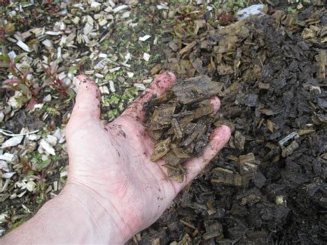 Denitrifying Bioreactors Waiber