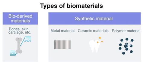 Introducing Bioceramics Challenges Features And Applications Orbray Magazine Orbray Co Ltd