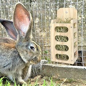 Dirfuny Heuraufe aus Holz für Stall Auslauf Für Kaninchen Hasen
