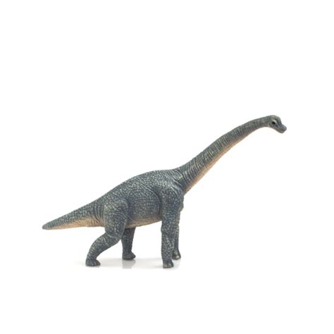 Mojo Brachiosaurus Mandala Montessori S R O