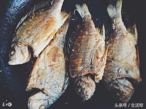 鯽魚湯怎麼樣才能做成奶白色 每日頭條