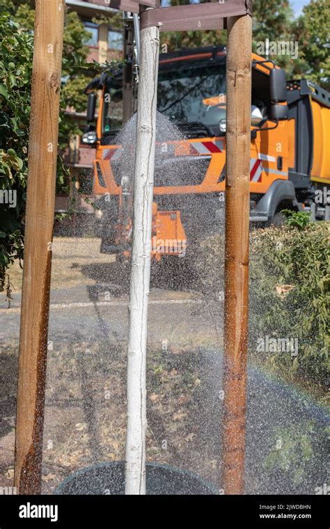 Tree Watering With Commercial Vehicle Stock Photo Alamy