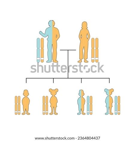 AUTOSOMAL DOMINANT INHERITANCE Stock Vector Images Avopix