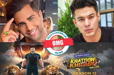 Khatron Ke Khiladi Omg Did Rajiv Adatia Call Pratik Sehajpal Dumb